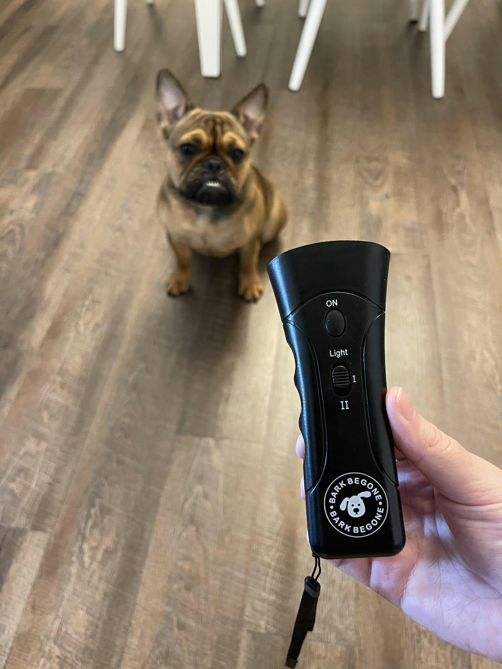 Anti Barking Device | Bark Begone Dog Trainer