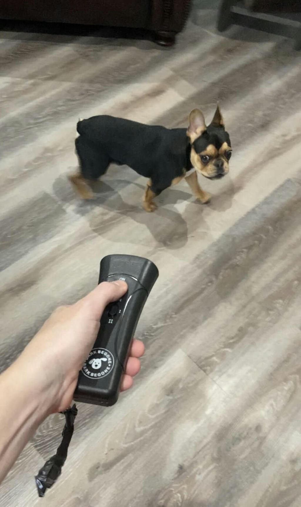Anti Barking Device | Bark Begone Dog Trainer