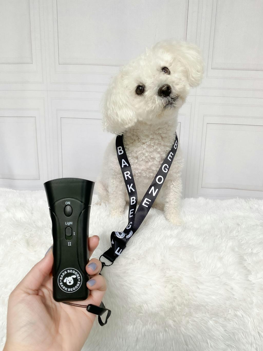 Anti Barking Device | Bark Begone Dog Trainer