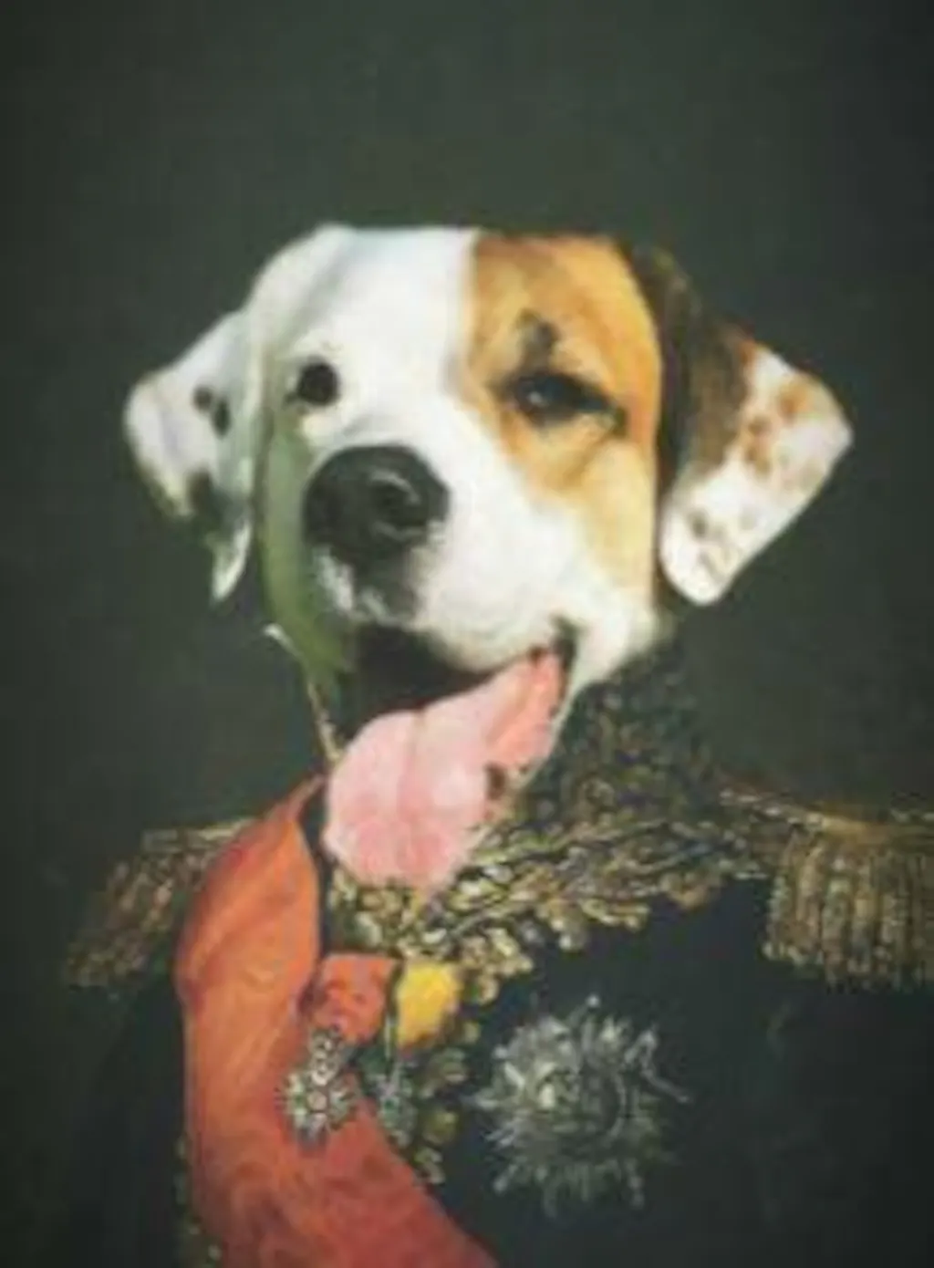 The General Dog – Barkermeow