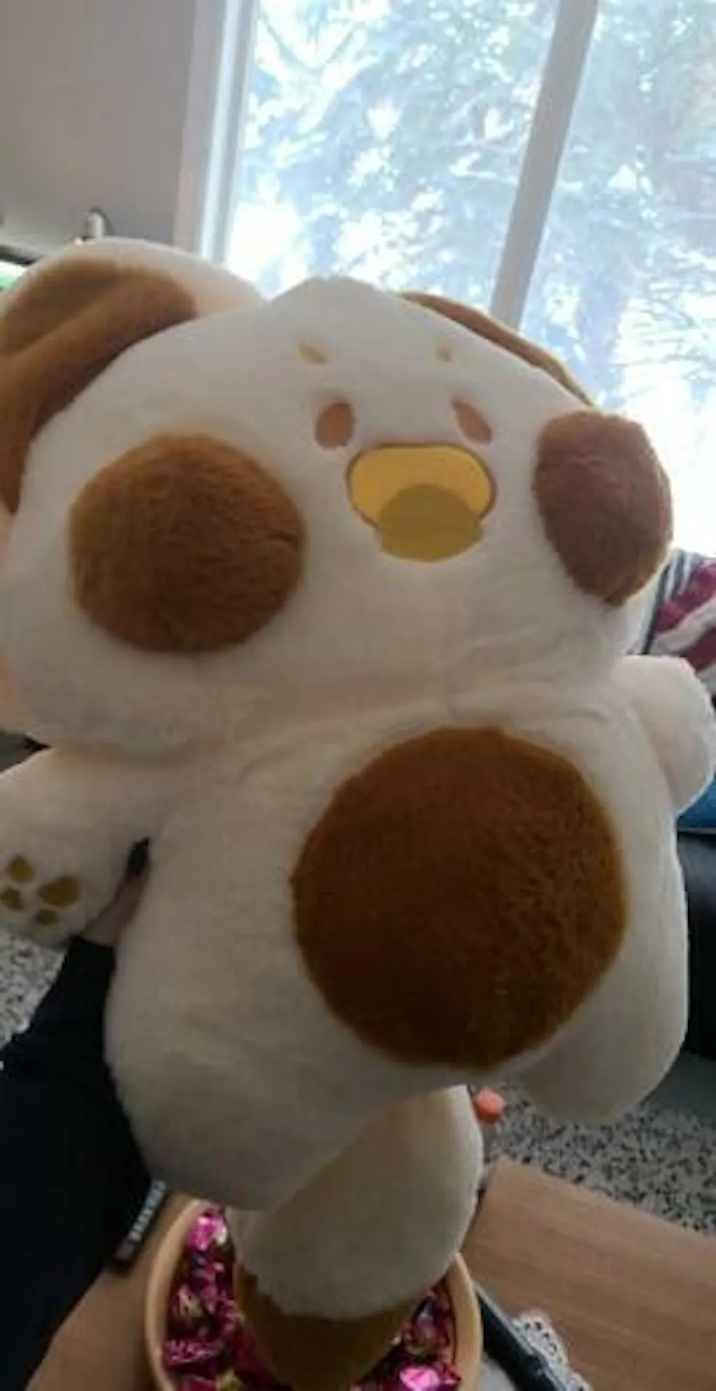 Doodle Meow Cat Plush Doll – Barkermeow