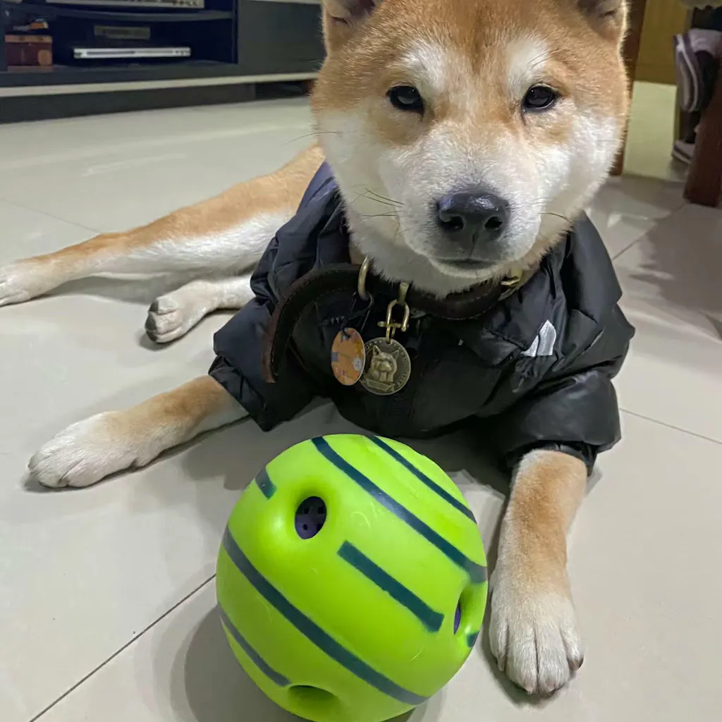 2023 Wobble Gag Giggle Ball Dog Toy – Barkermeow