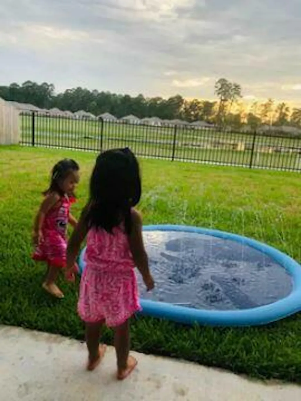 Dog Splash Sprinkler Pool (2nd generation) – Barkermeow