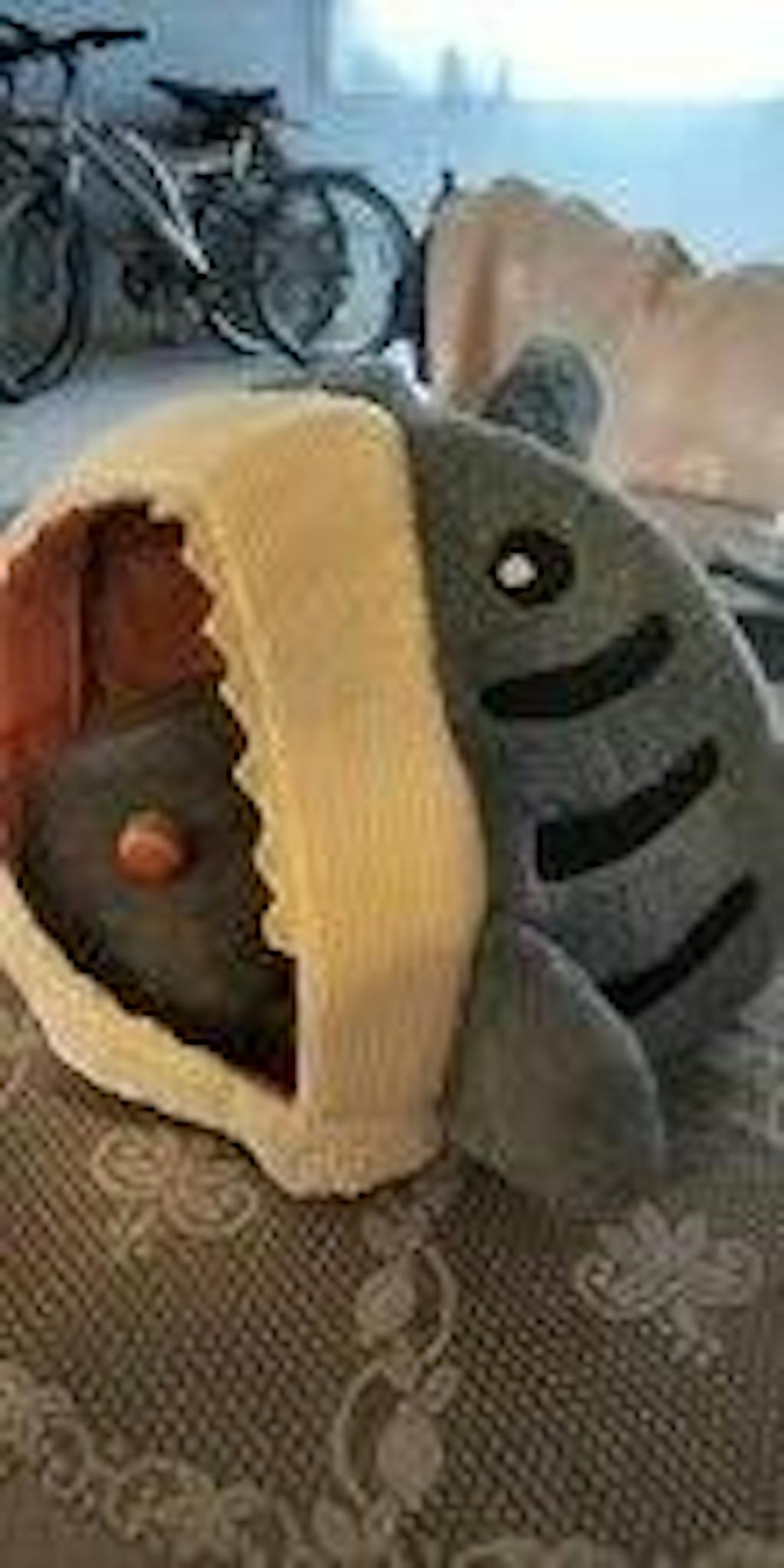 Shark, Angler & Puffer Fish Cat Bed – Barkermeow