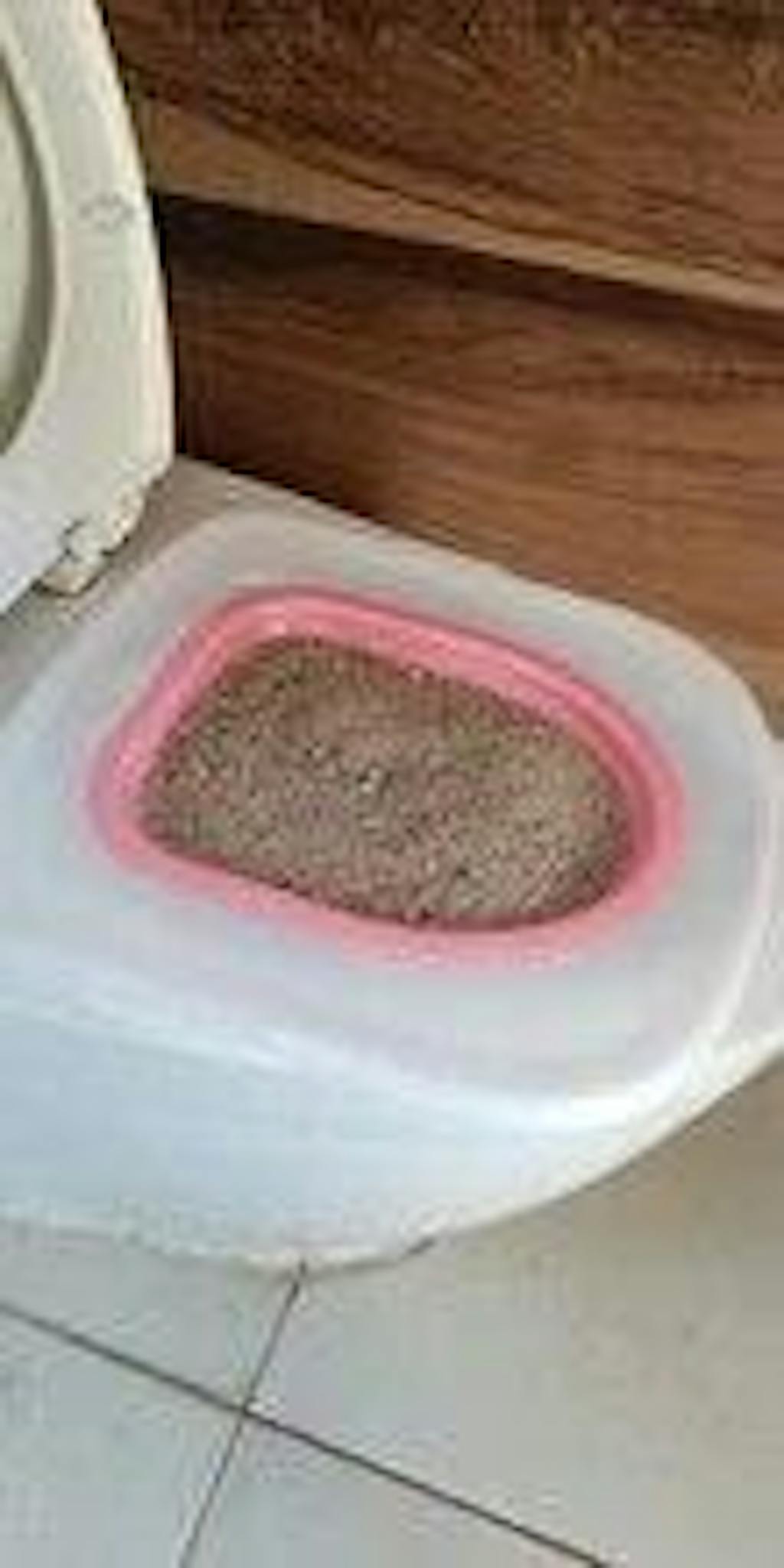 Kitty Cat Toilet Training Kit – Barkermeow