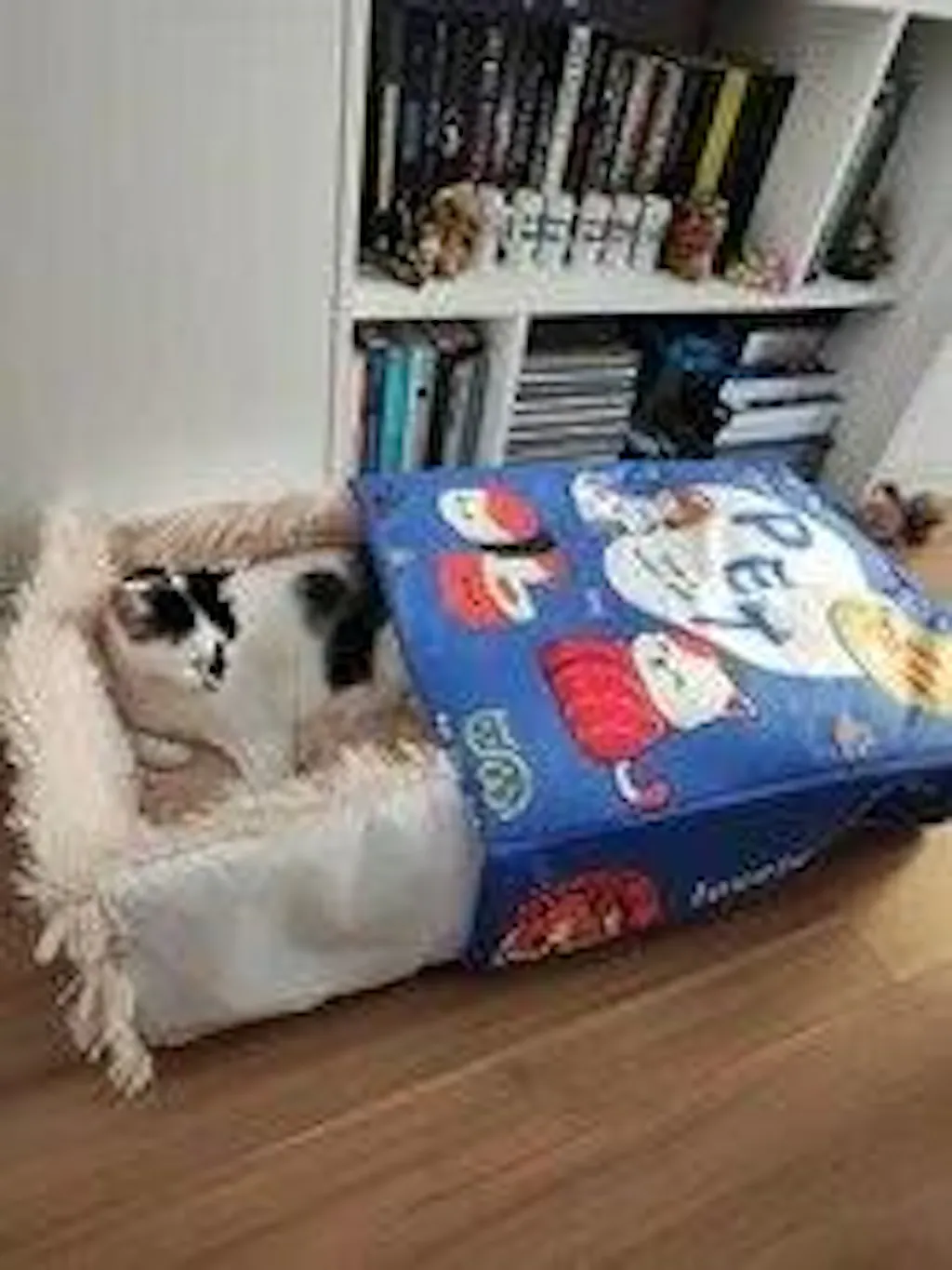 Snack Box Cat Bed – Barkermeow
