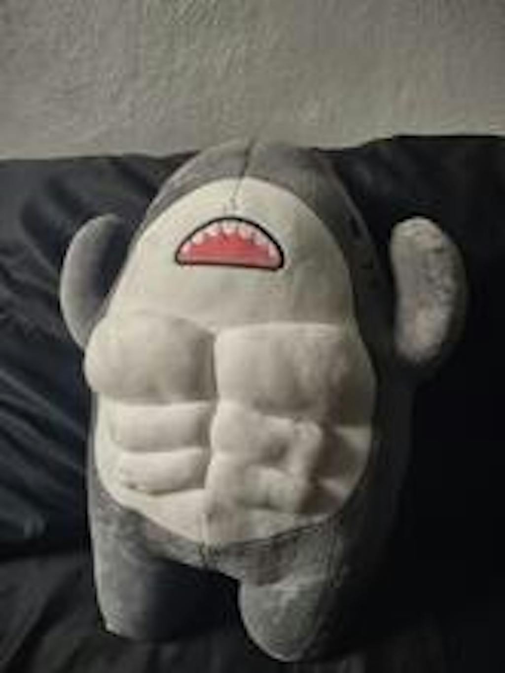 Shredded Muscle Gym Shark Plush – Barkermeow