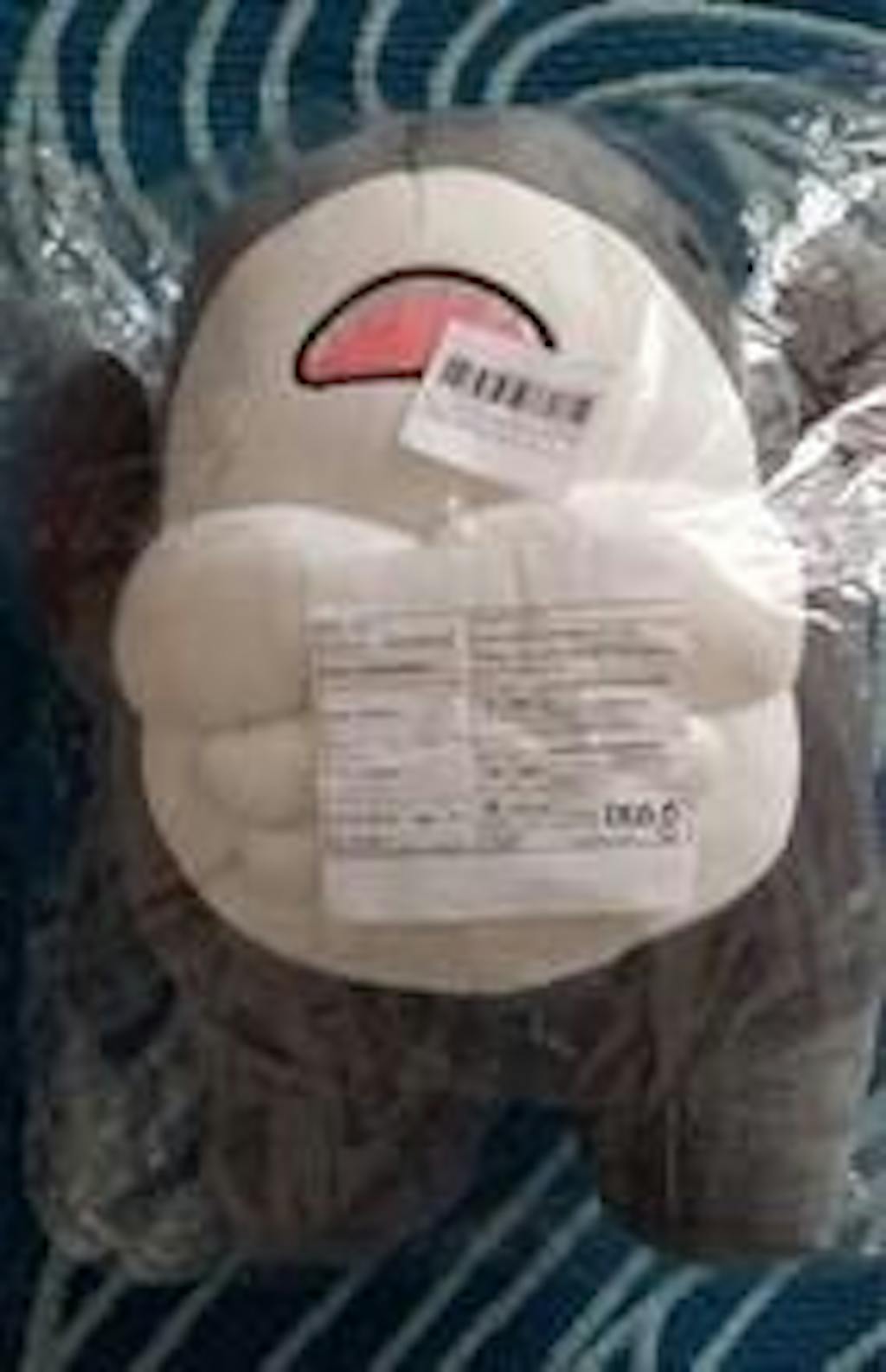 Shredded Muscle Gym Shark Plush – Barkermeow