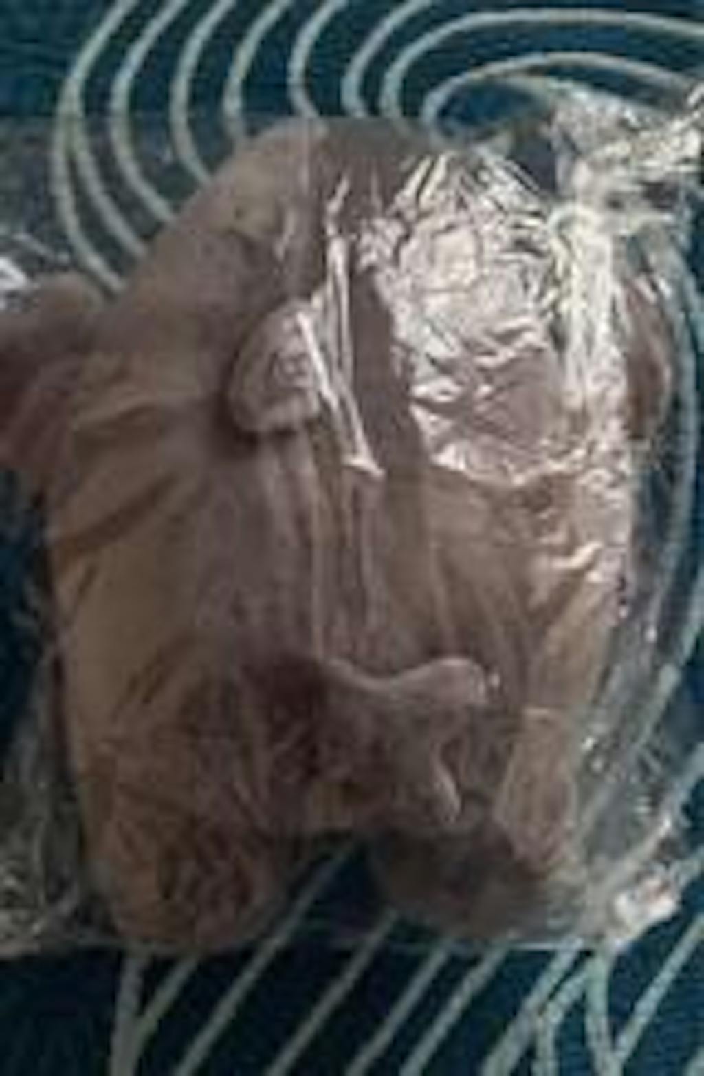 Shredded Muscle Gym Shark Plush – Barkermeow