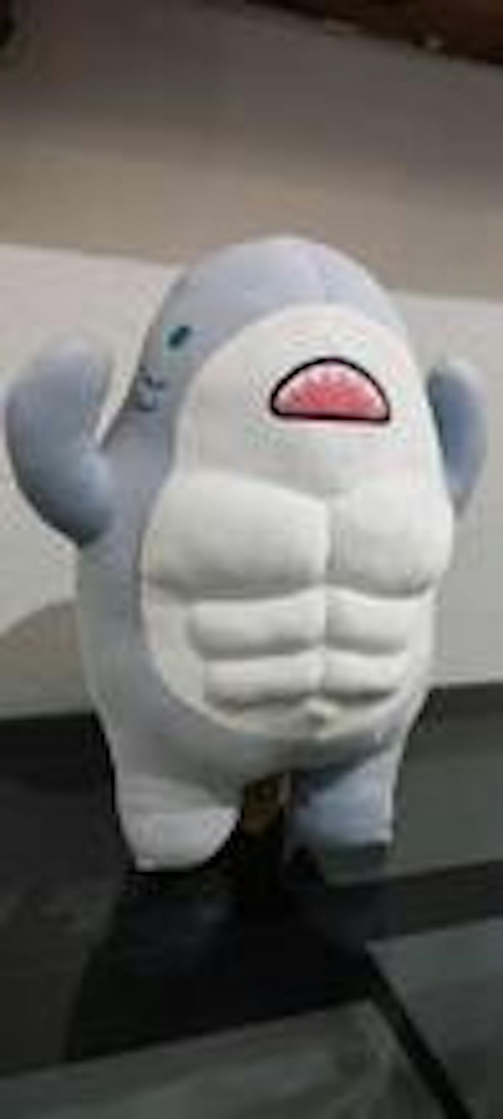 Shredded Muscle Gym Shark Plush – Barkermeow