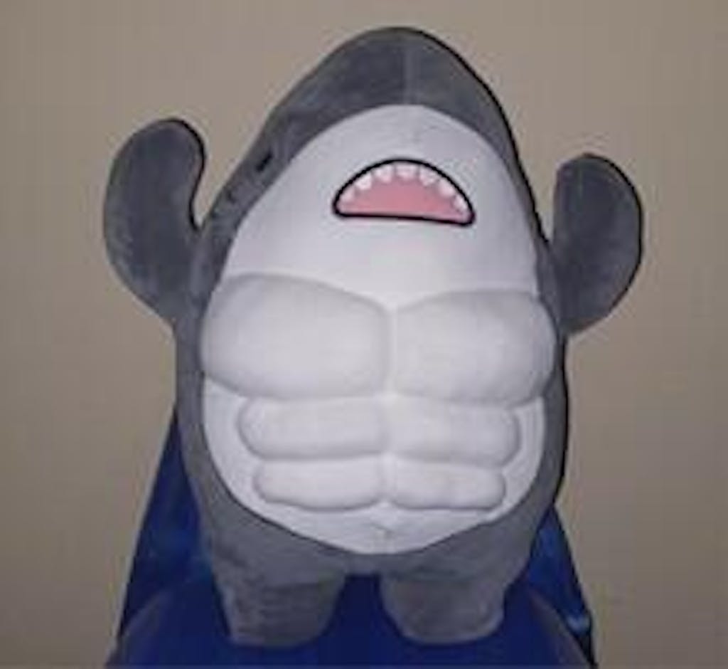 Shredded Muscle Gym Shark Plush – Barkermeow
