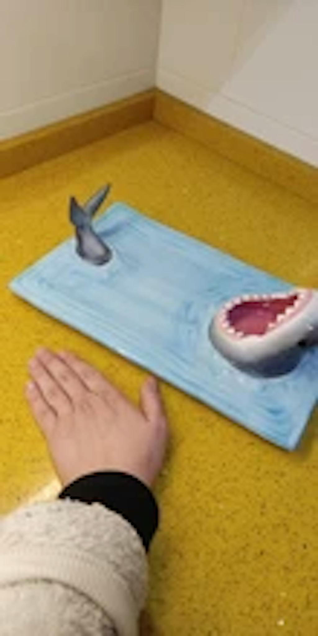 Jawsome Shark Dining Plate – Barkermeow