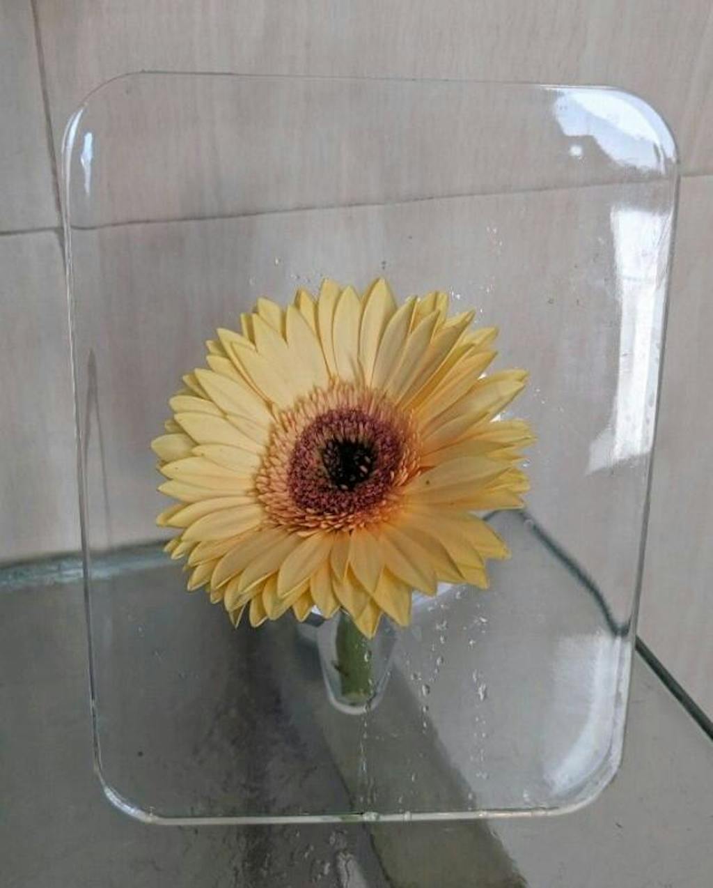 Acrylic Photo Frame Flower Vase – Barkermeow