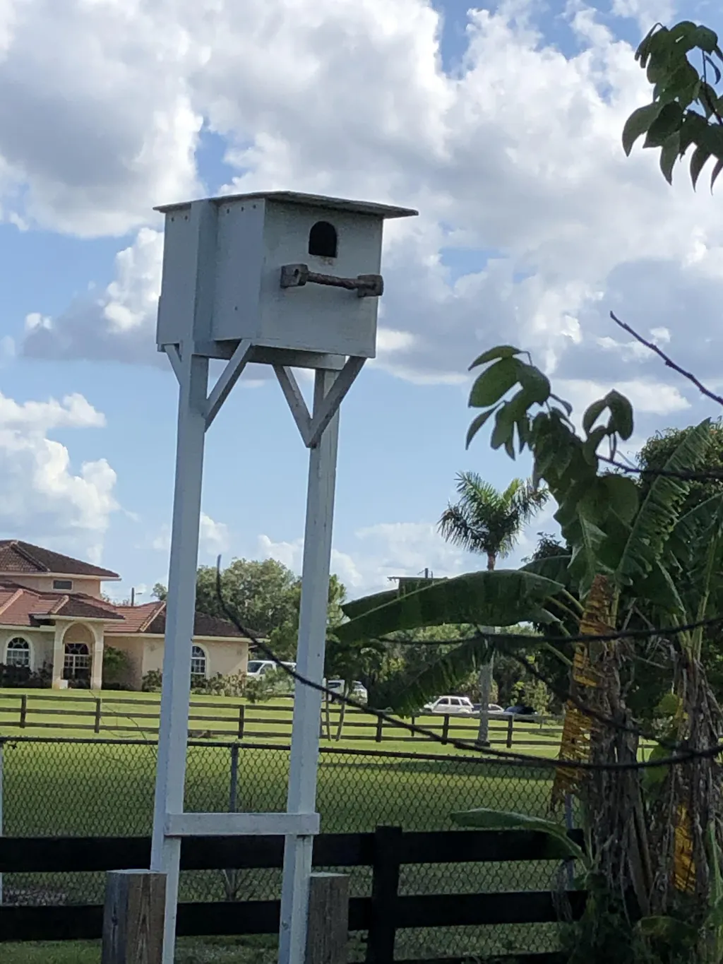 Barn Owl Nest Box Pole Model | Barn Owl Box Company