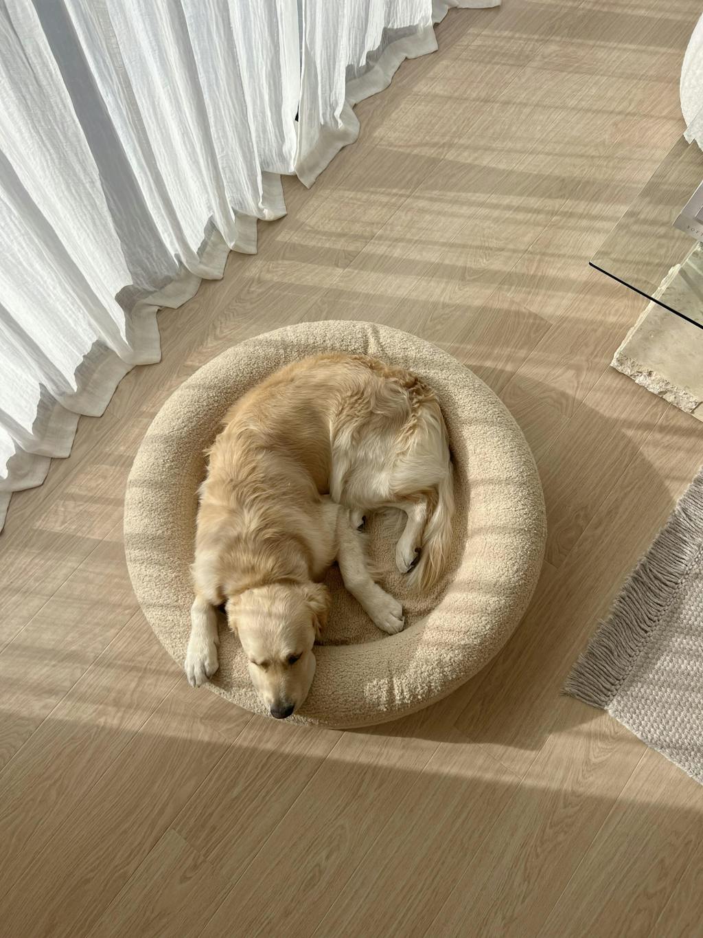 BarneyCurl Covers – Barney Bed