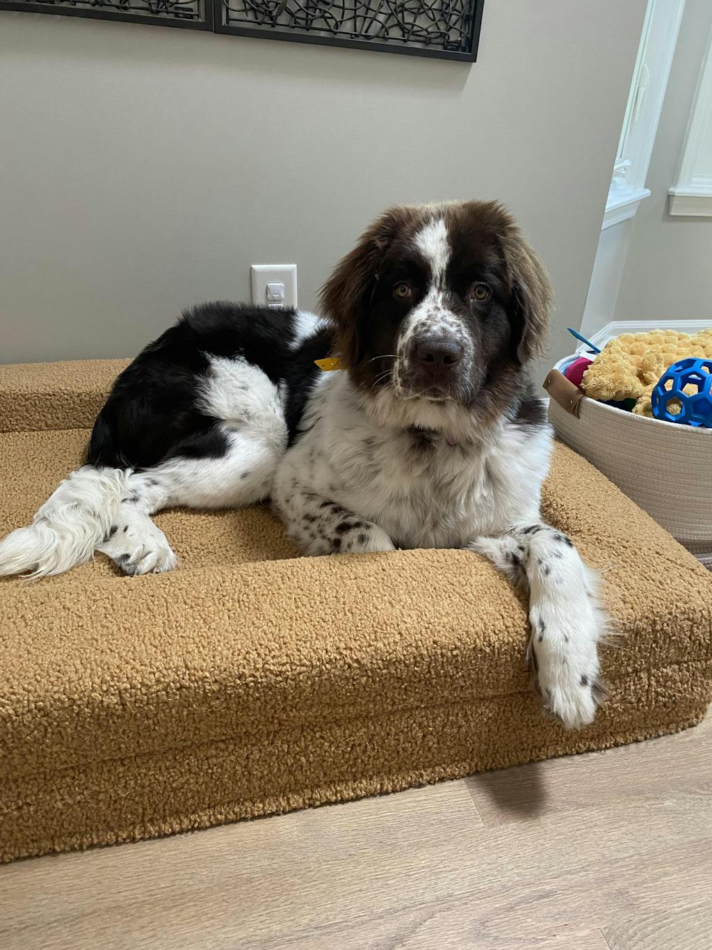 Teddy Covers – Barney Bed