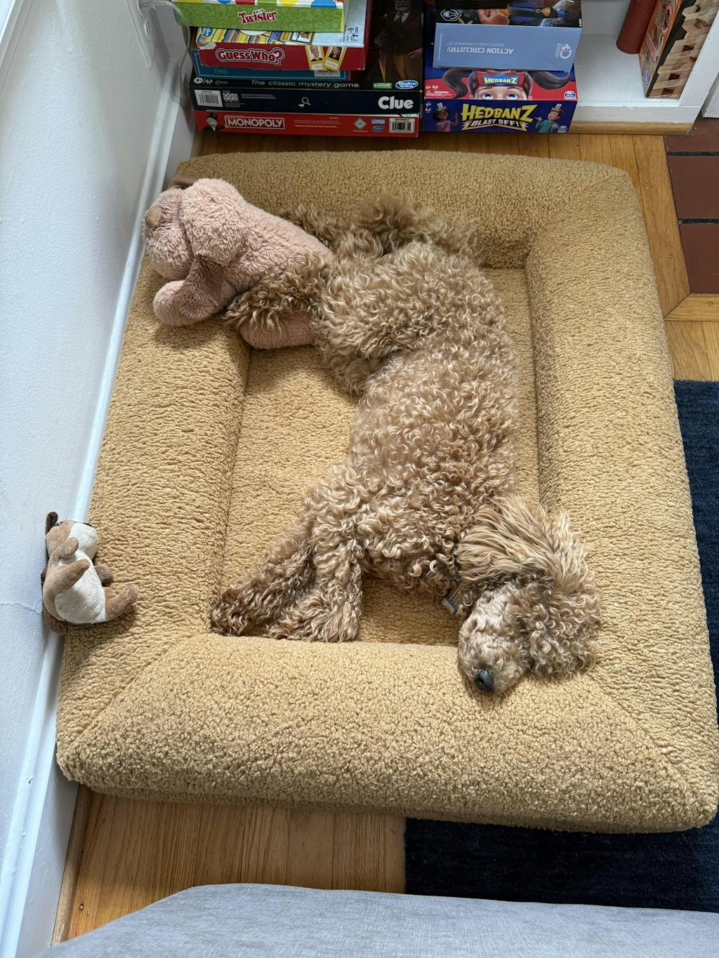 Teddy Covers – Barney Bed