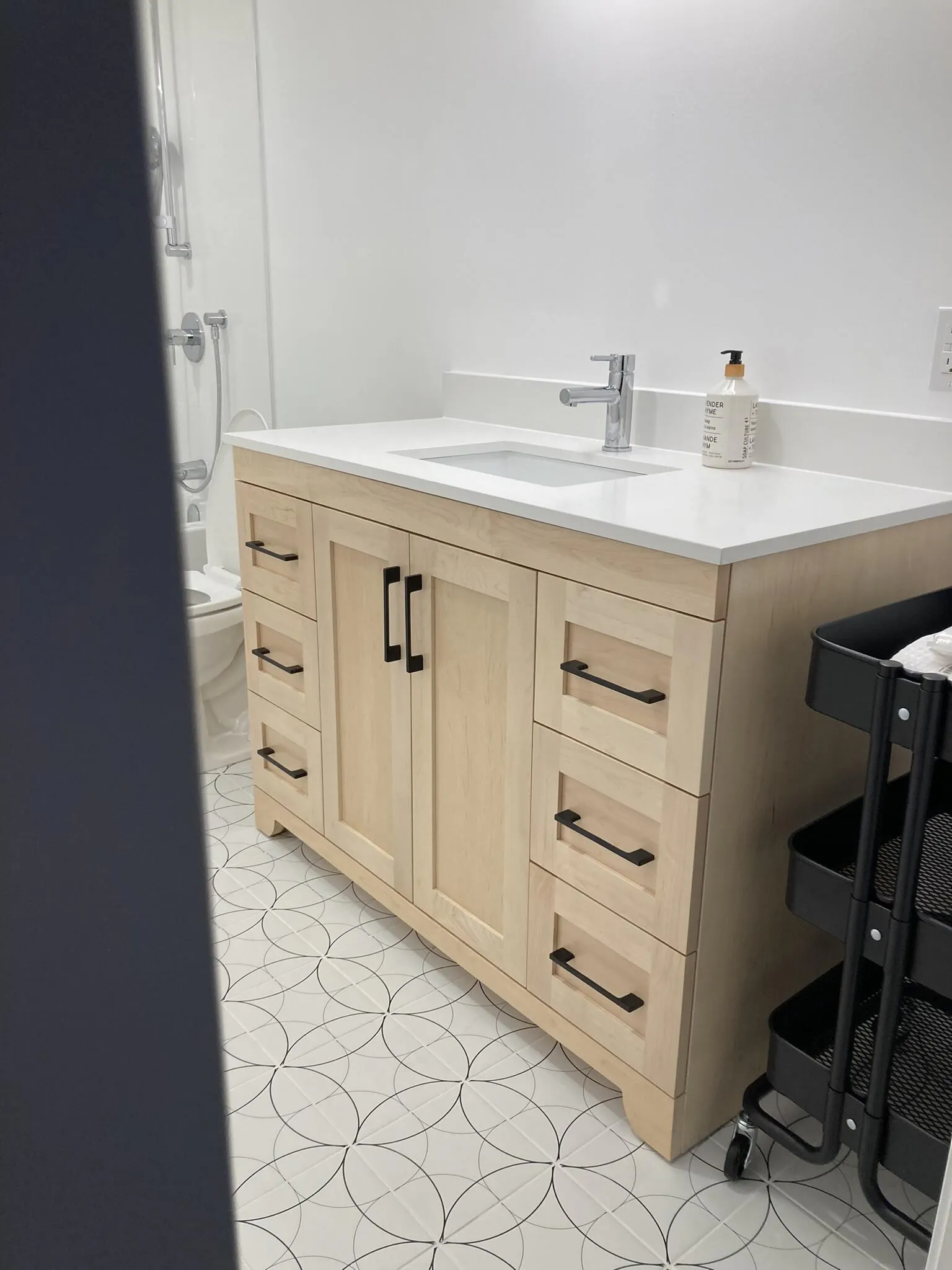 Chester 48" Single Sink Solid-Wood Vanity with Quartz Countertop (6 Dr