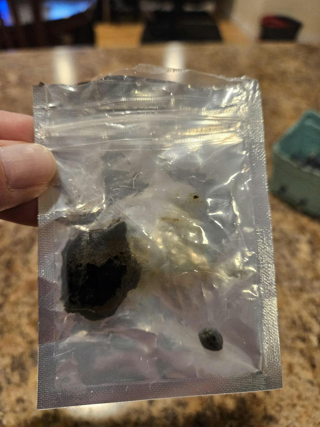 Philosopher's Stone Blueberry Hash - BC Bud Supply