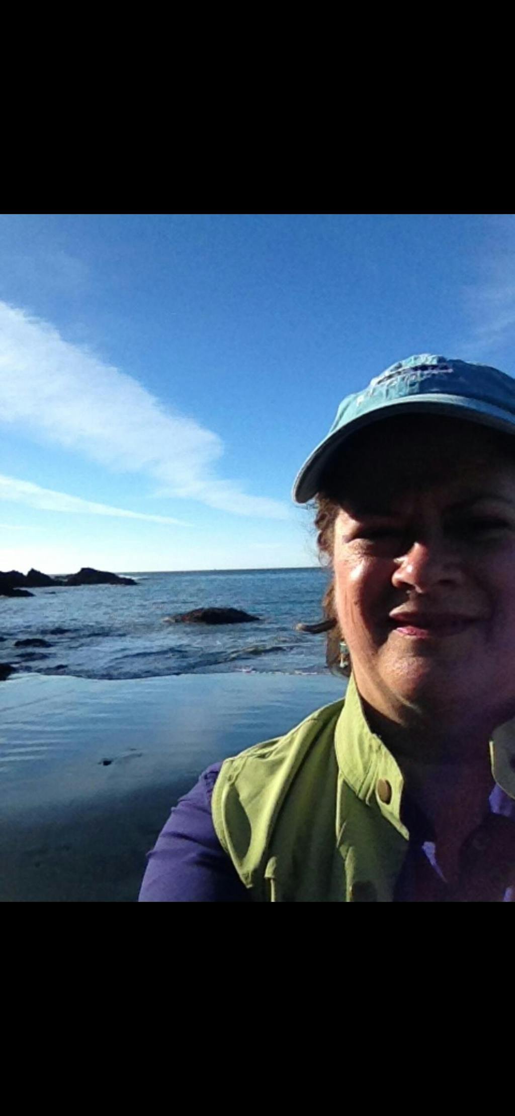 Bring Out the Hidden Beauty of Seashells – Beachcombing Magazine