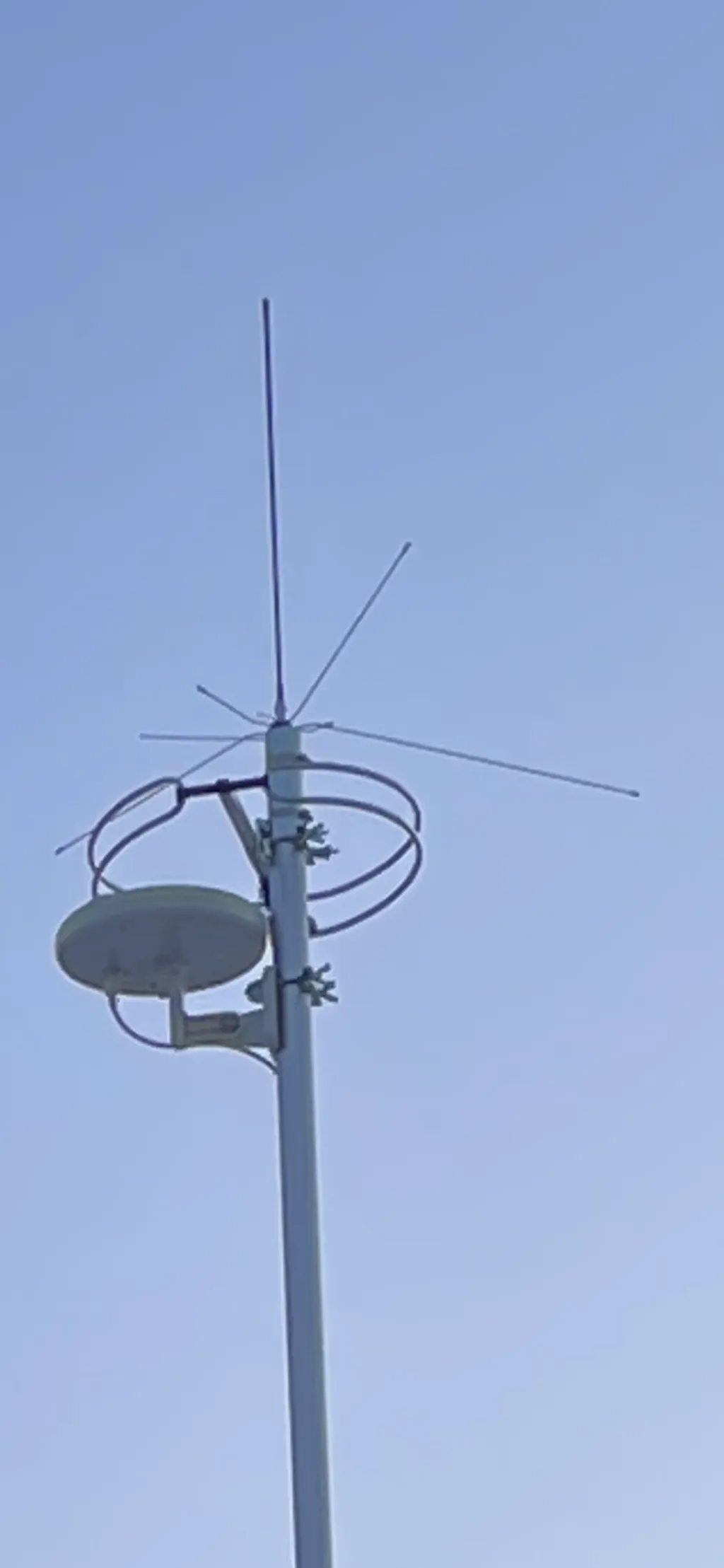 Spider BNC Base Scanner Antenna | Procomm & PoliceScanerOutlet ...