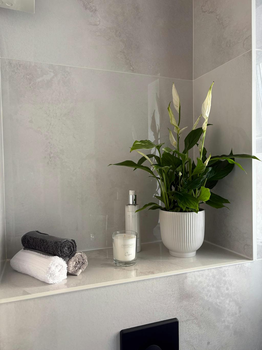 Large Peace Lily | Tall Spathiphyllum