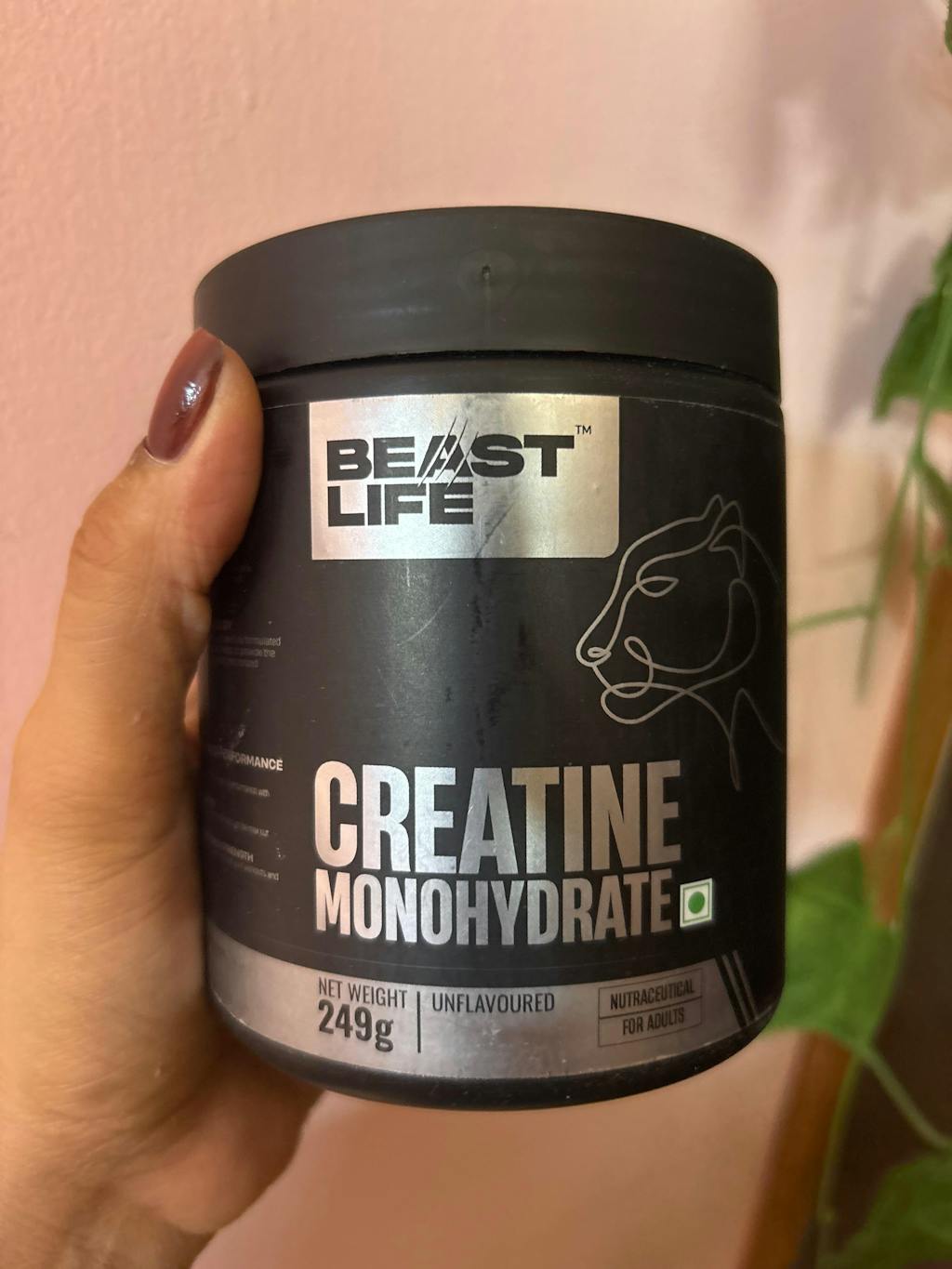 Super Micronized Creatine Monohydrate | 249G – Beastlife
