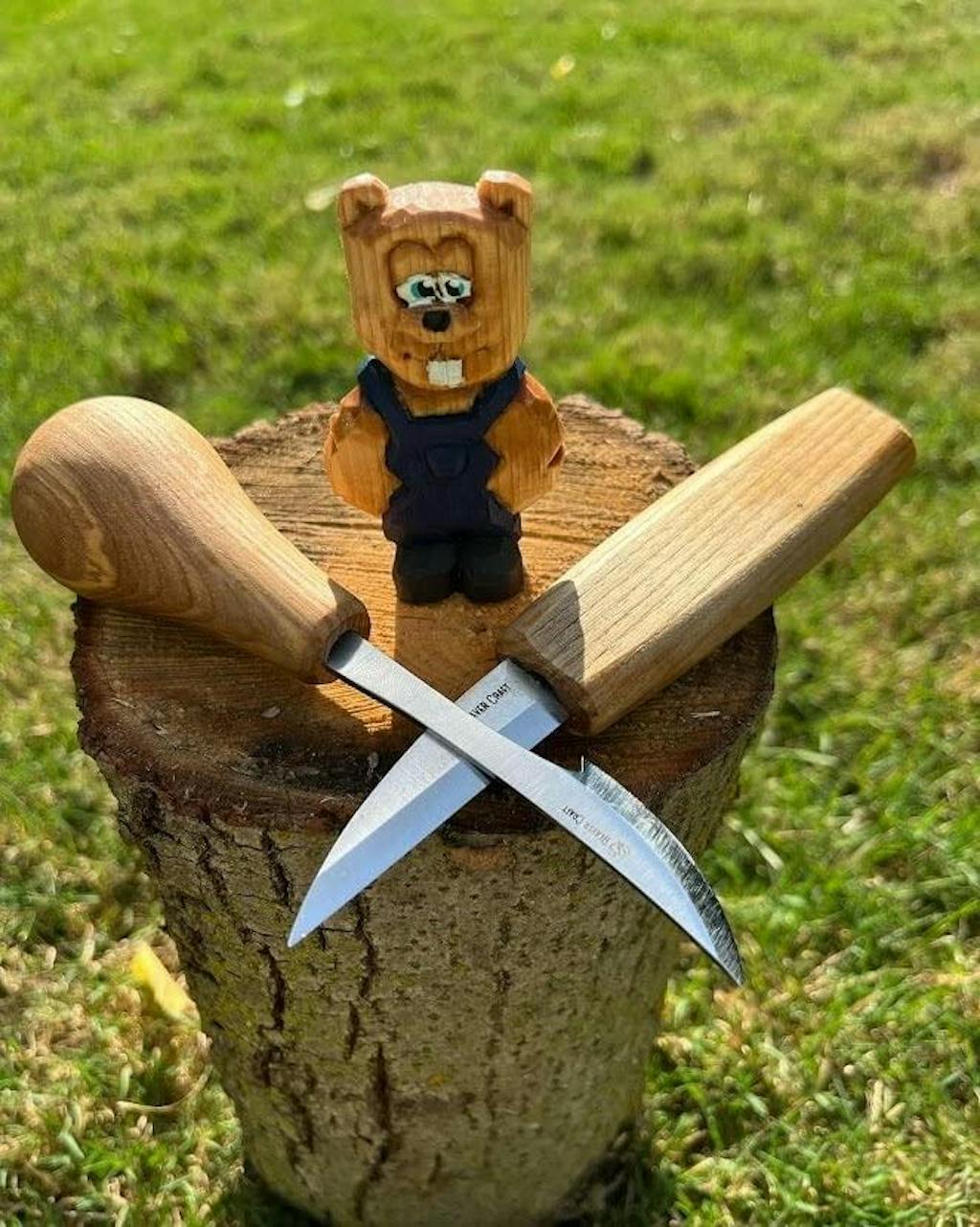 DIY05 - Complete Bear Starter Whittling Kit for Beginners Adults Teens ...