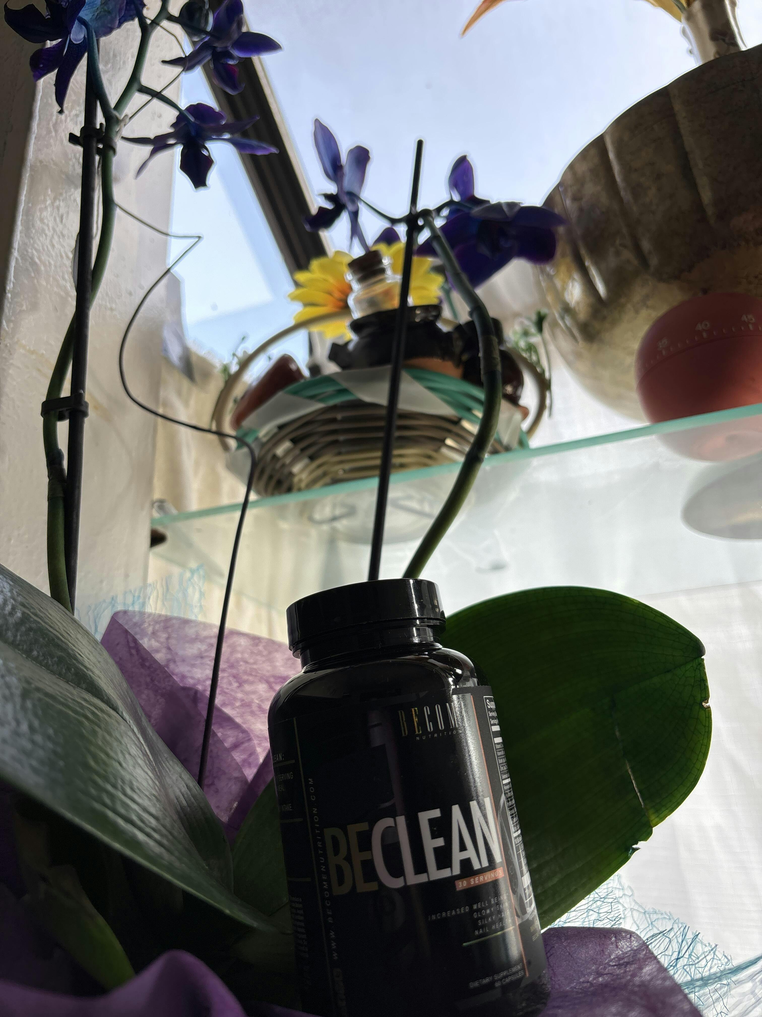 Be Clean | Hair, Skin, Nail & Probiotic – Become Nutrition