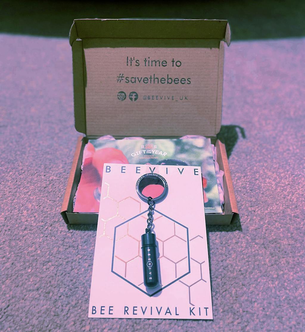 Save Bees On The Go | Bee Revival Kit - Black | Beevive