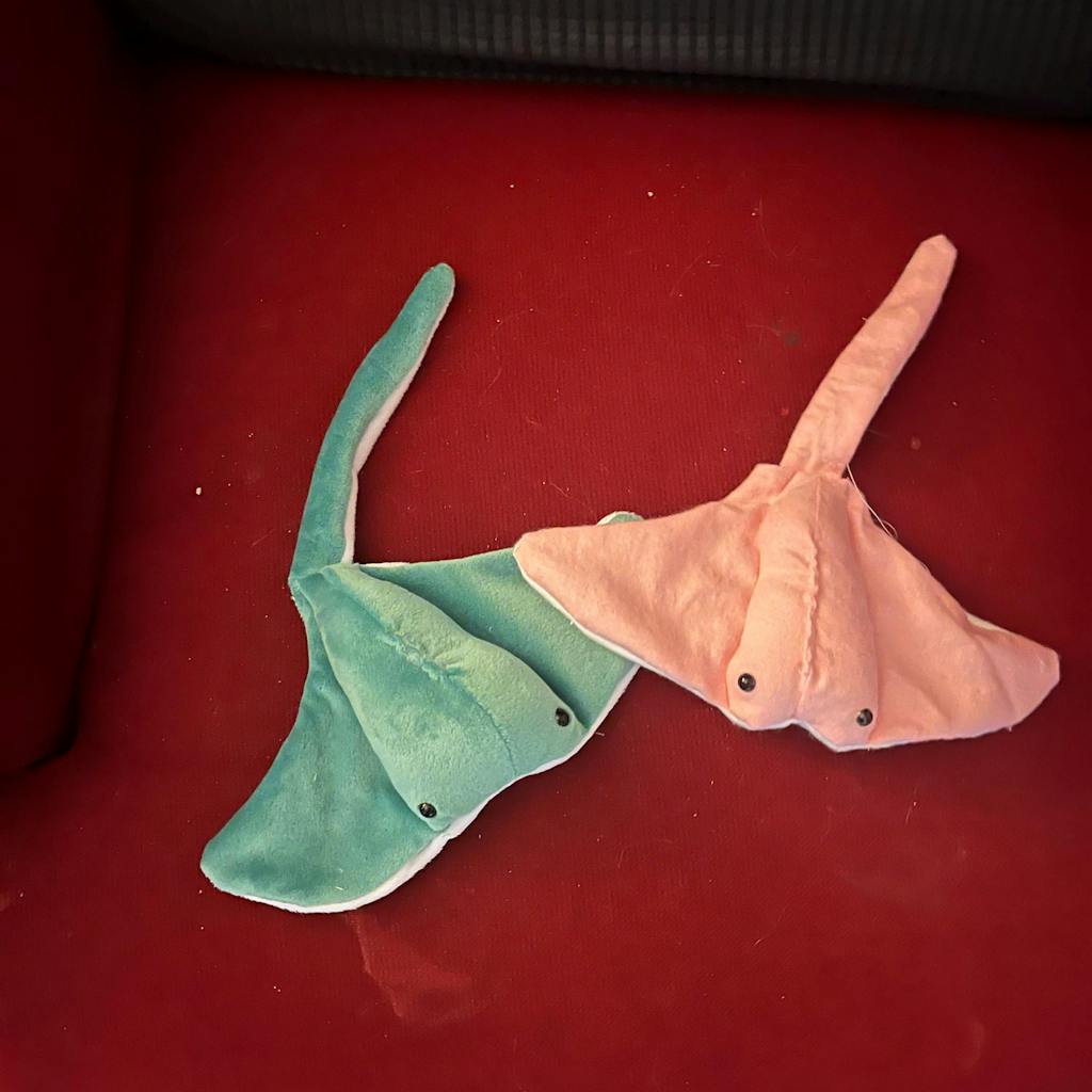 Stingray Stuffed Animal Sewing Pattern - Digital Download – BeeZeeArt