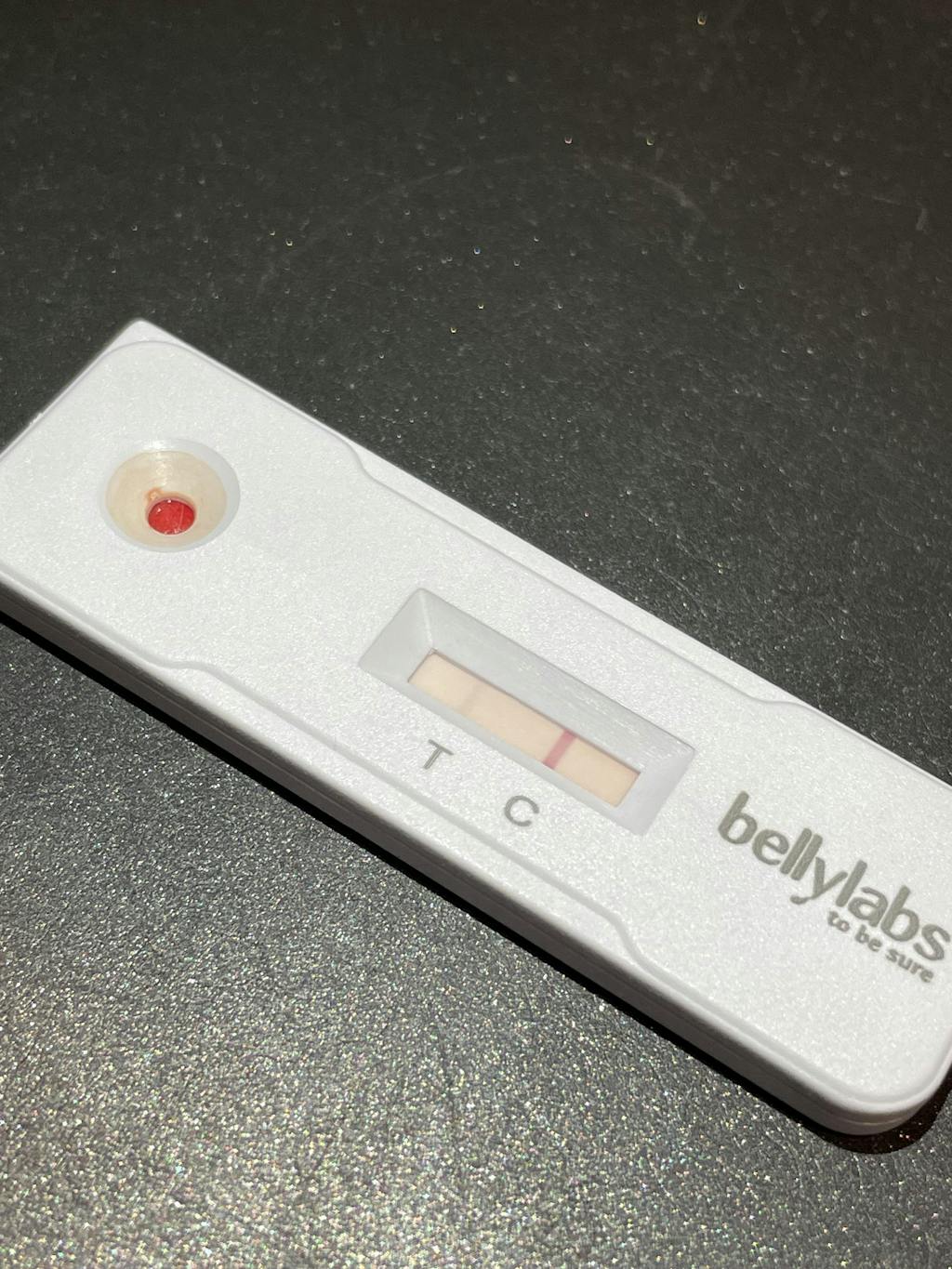 Signs And Stages of Dog Labor – Bellylabs