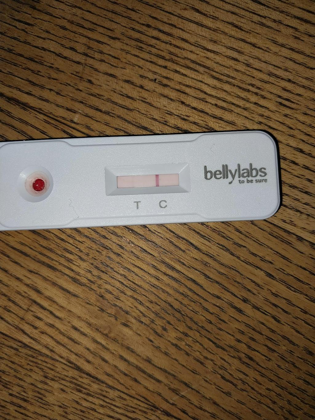 Signs And Stages of Dog Labor – Bellylabs