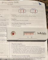 Signs And Stages of Dog Labor – Bellylabs