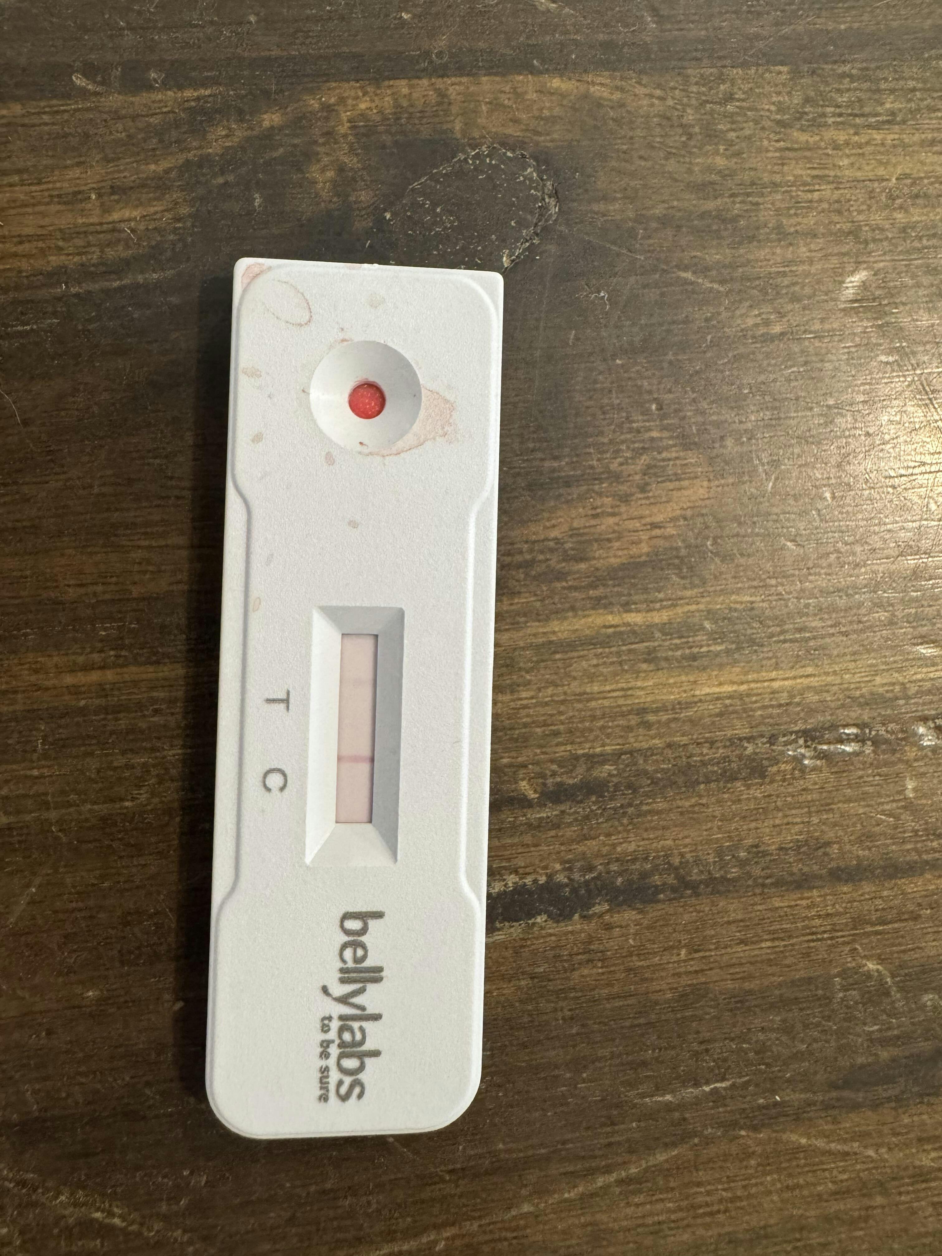 Signs And Stages of Dog Labor – Bellylabs