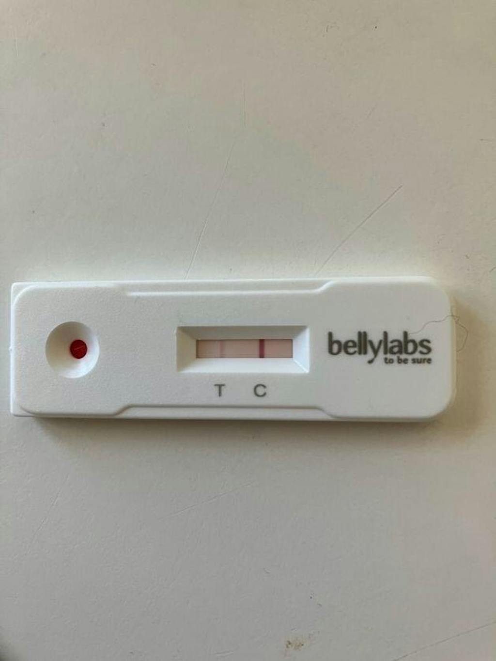 Signs And Stages of Dog Labor – Bellylabs