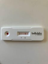 Signs And Stages of Dog Labor – Bellylabs