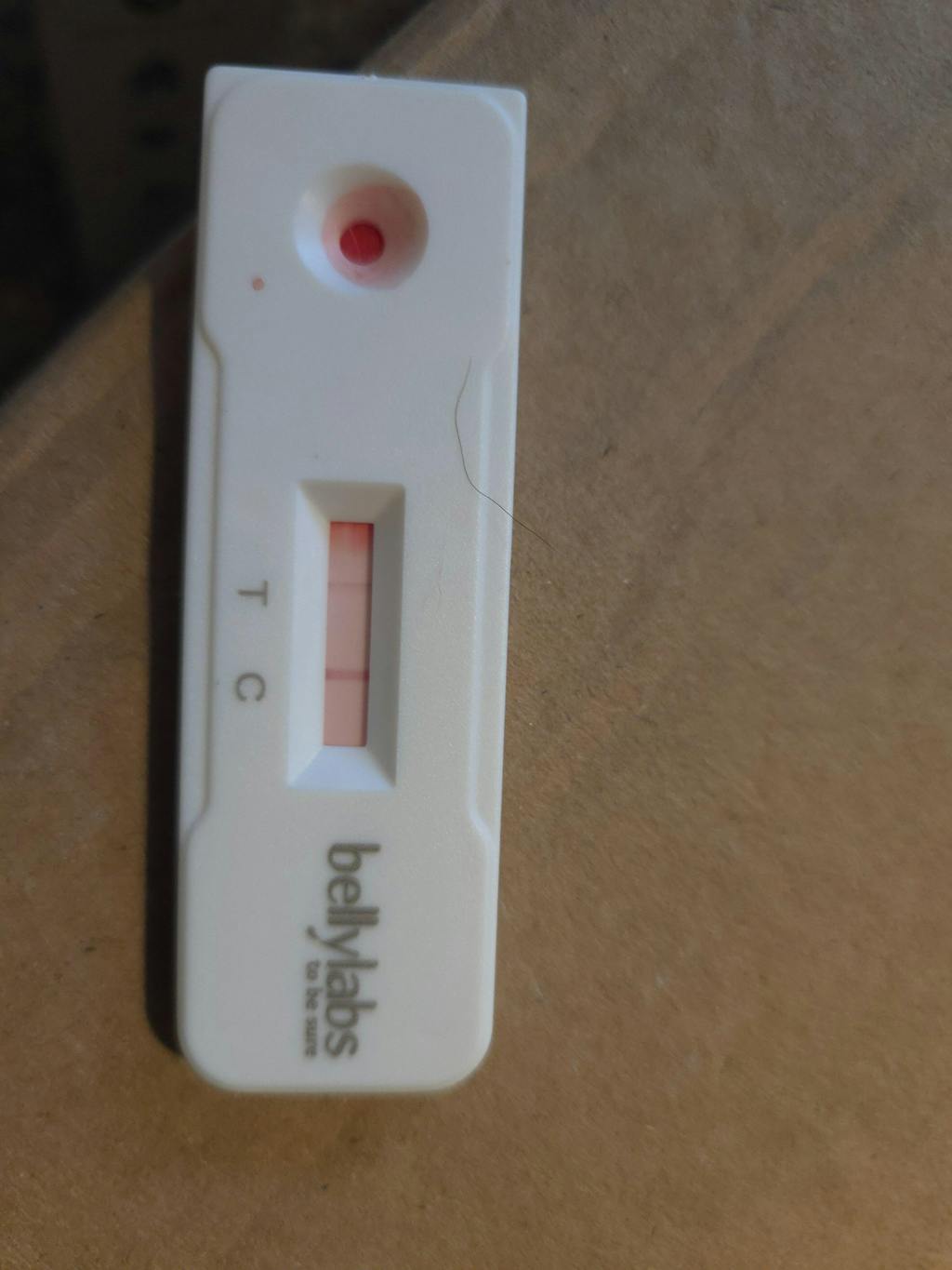 Signs And Stages of Dog Labor – Bellylabs