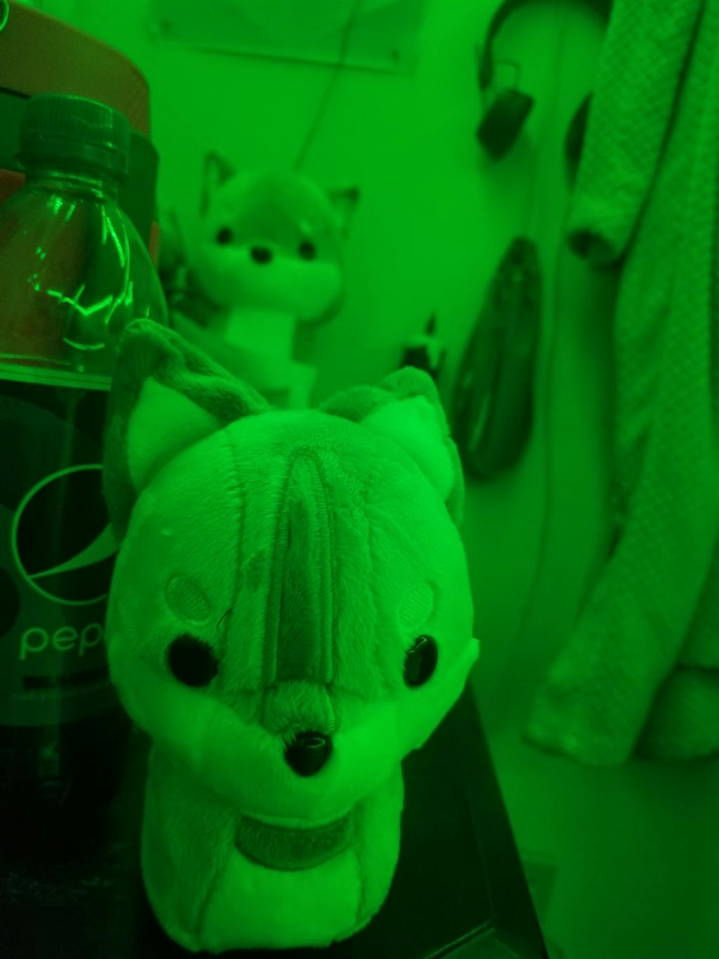 Mini Wolfi the Wolf – Bellzi