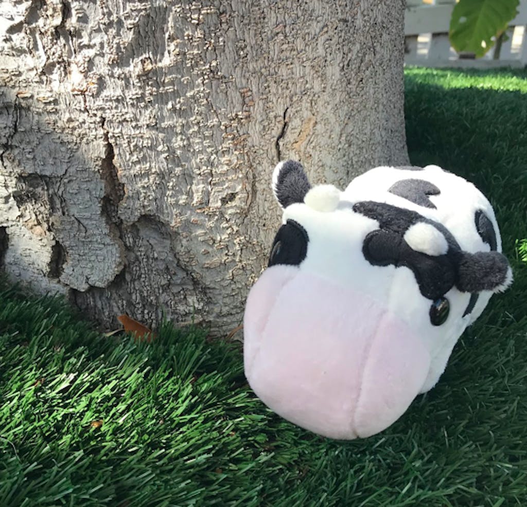 Mini Mooi the Cow