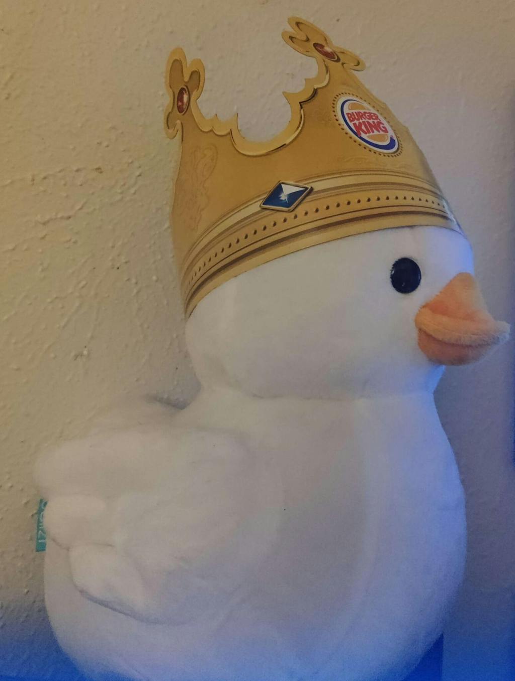 Ducki the Duck – Bellzi