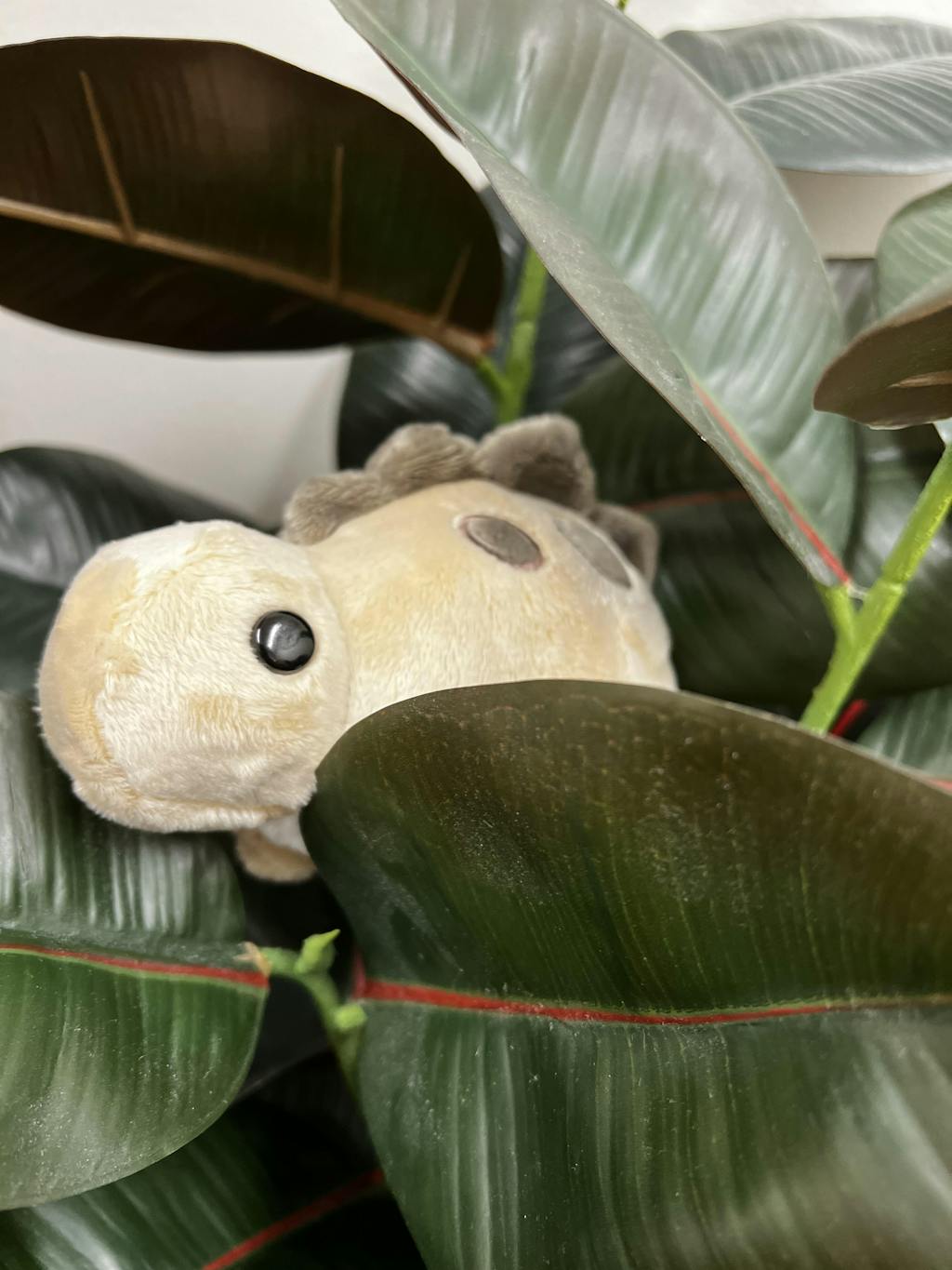 Mini Steggi the Stegosaurus – Bellzi