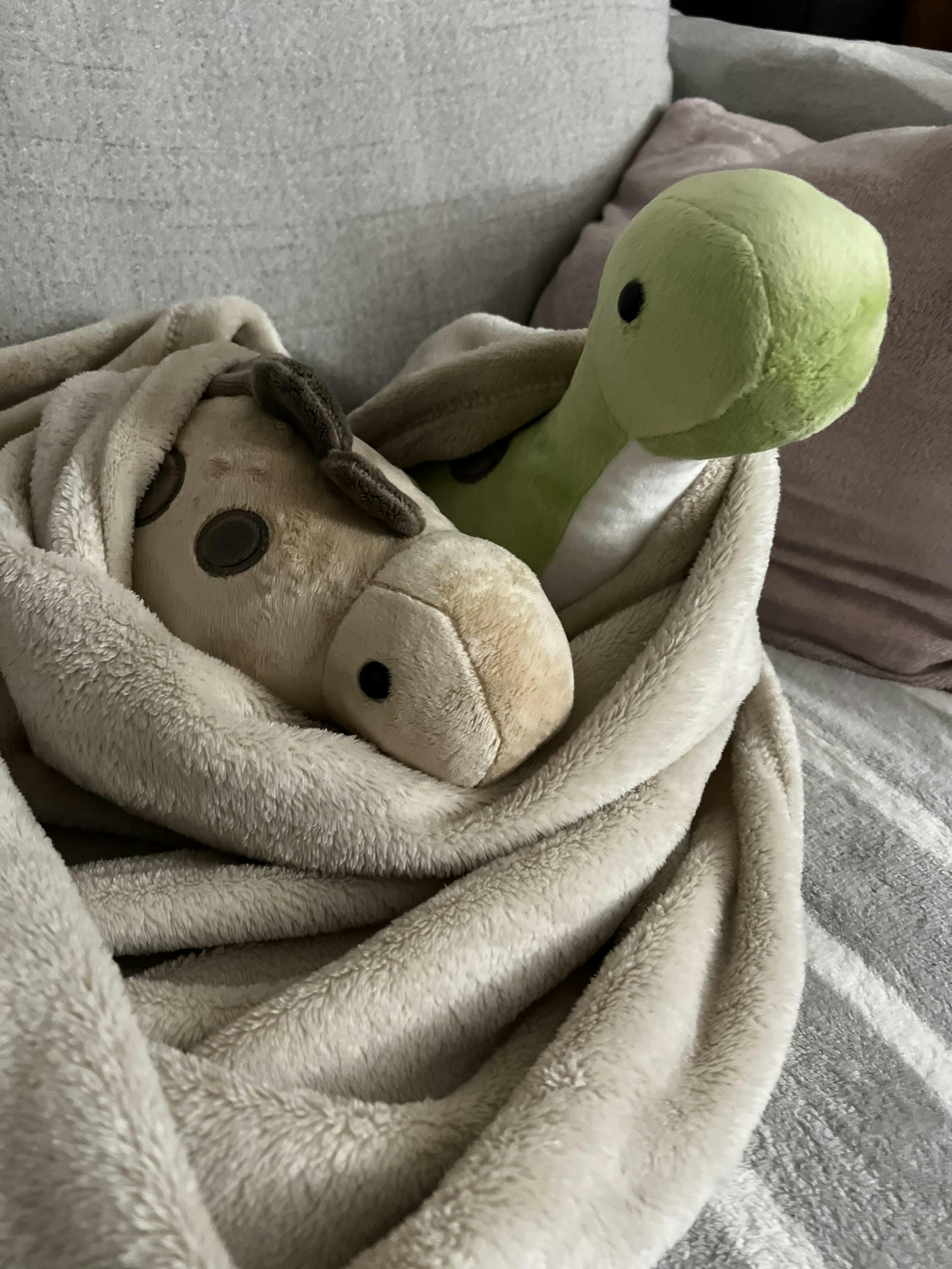 Bronti the Brontosaurus - Brontosaurus Stuffed Animal | Bellzi