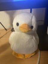 Mini Ducki the Duck – Bellzi