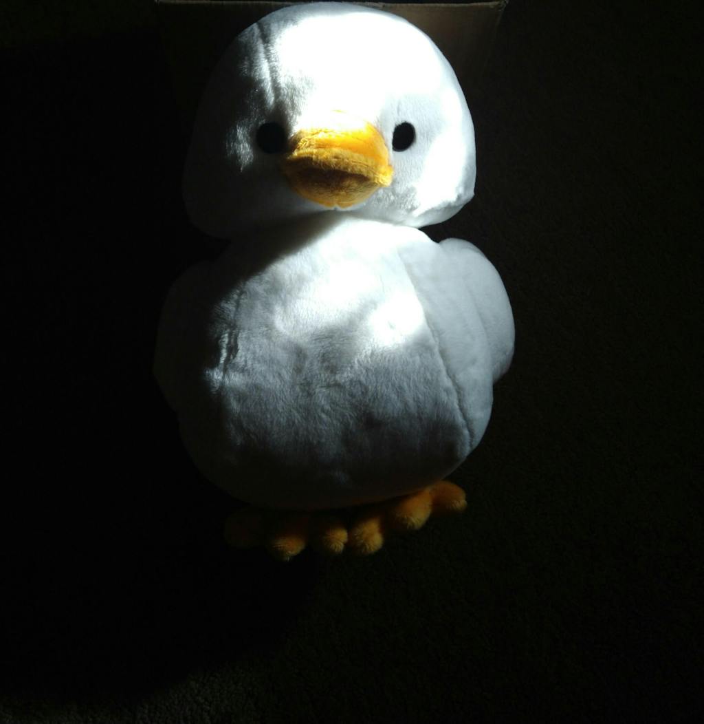 Ducki the Duck – Bellzi