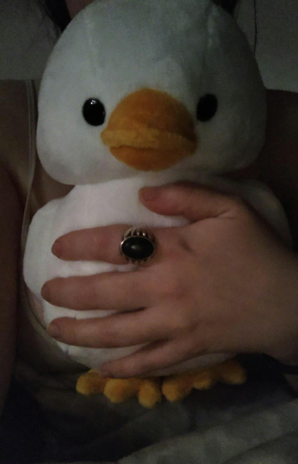 Ducki the Duck – Bellzi