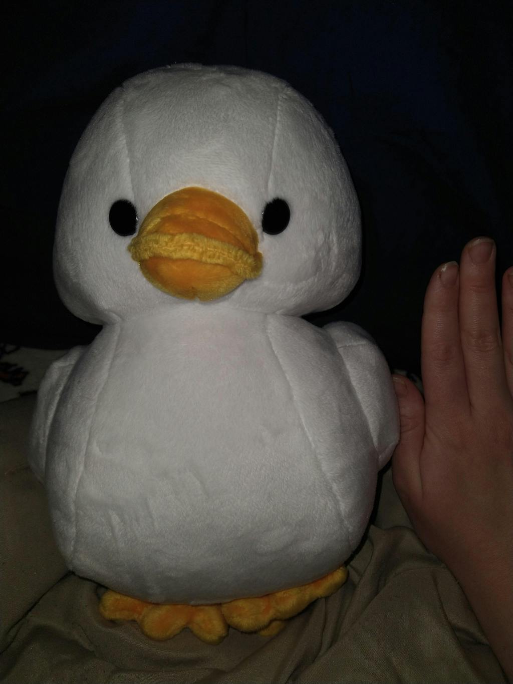 Ducki the Duck – Bellzi