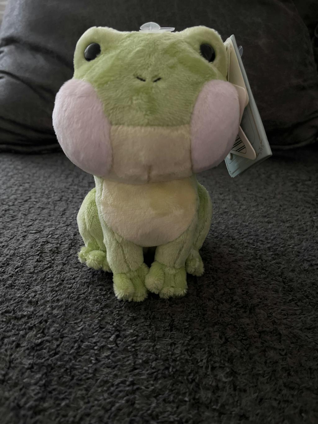 Mini Frog Plush - Frog Plushie | Bellzi