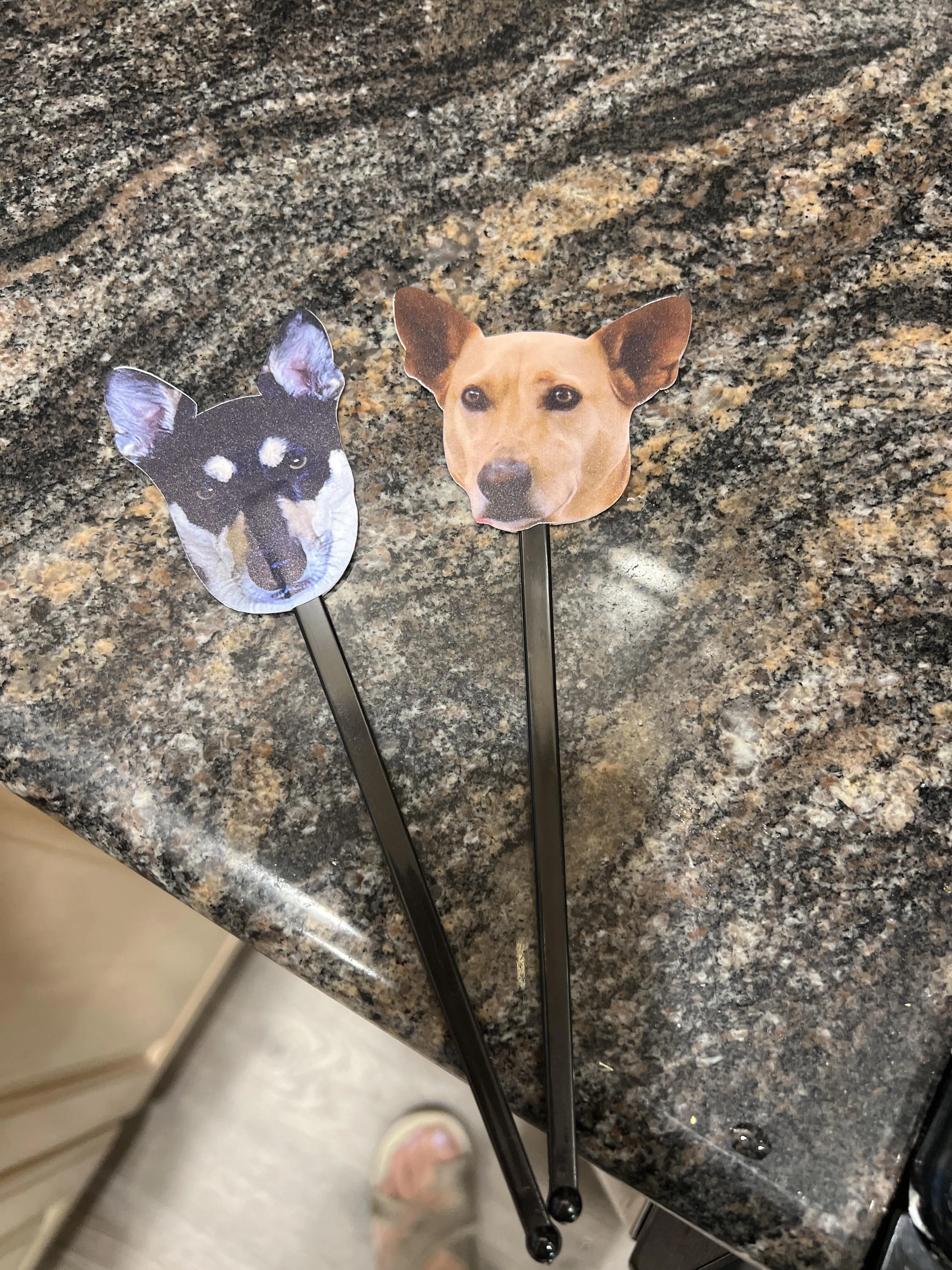 Funny Drink Stirrers Personalized with Pet Face – belovechain
