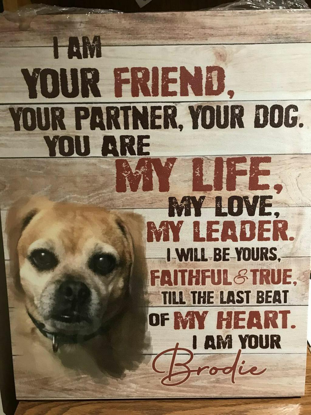 Custom Dog Portrait Canvas, I Am Your Dog Personalized Photo Pet Gifts ...